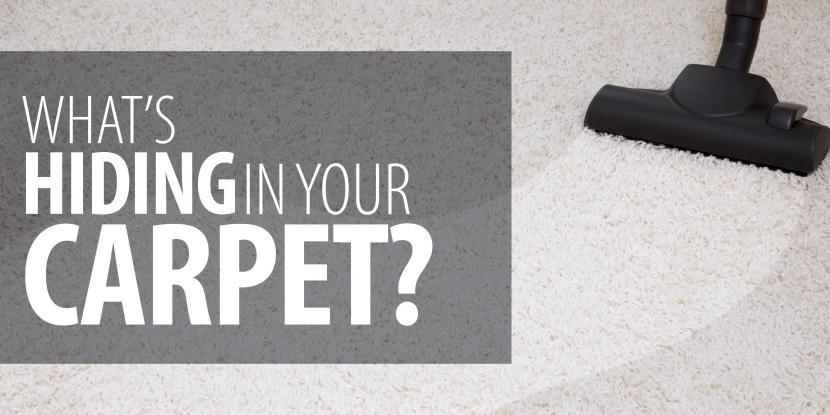 Home [www.dreamsteaming.co.uk]